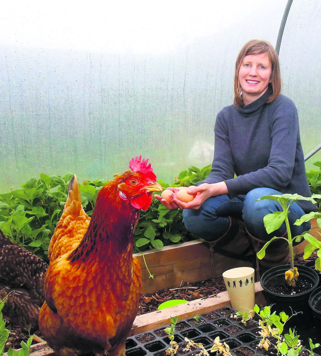 Scientist's secret to sustainable living? One small change a day