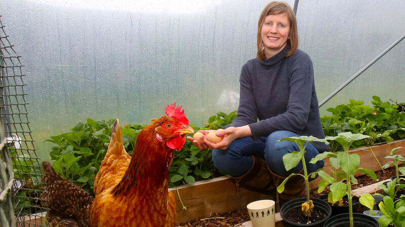 Scientist's secret to sustainable living? One small change a day