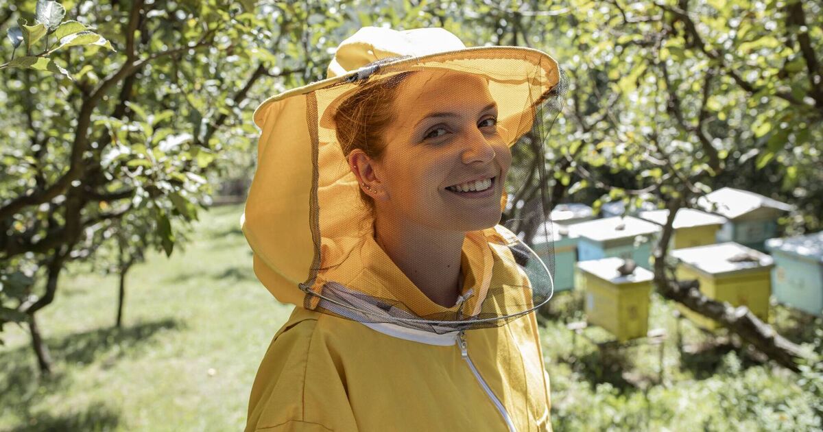 Why farmers love beekeepers: Bees give Irish crops €53m lift