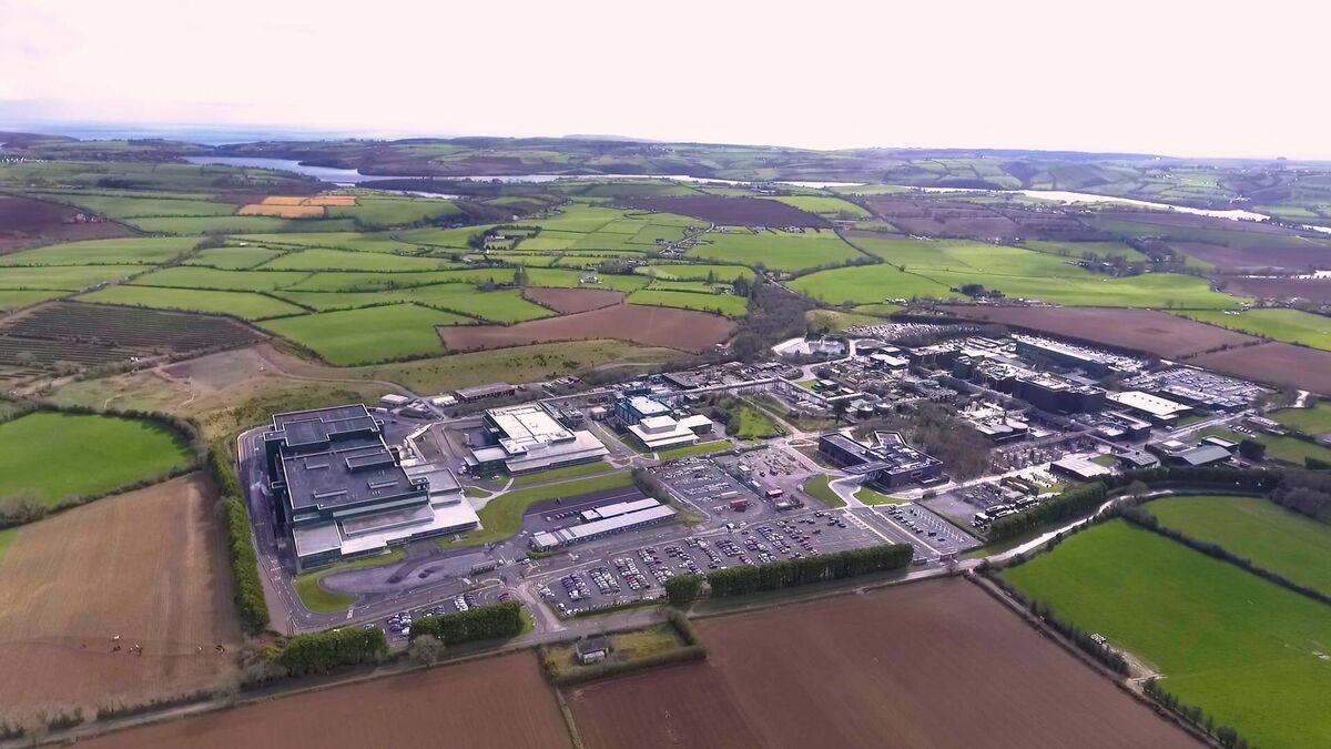 Eli Lilly, a global leader in science with strong community ties