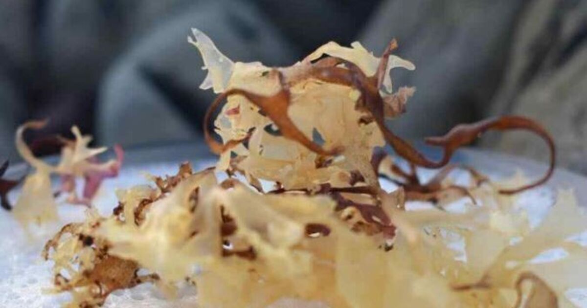 Myrtle Allen’s Carrageen moss pudding with Irish whiskey sauce