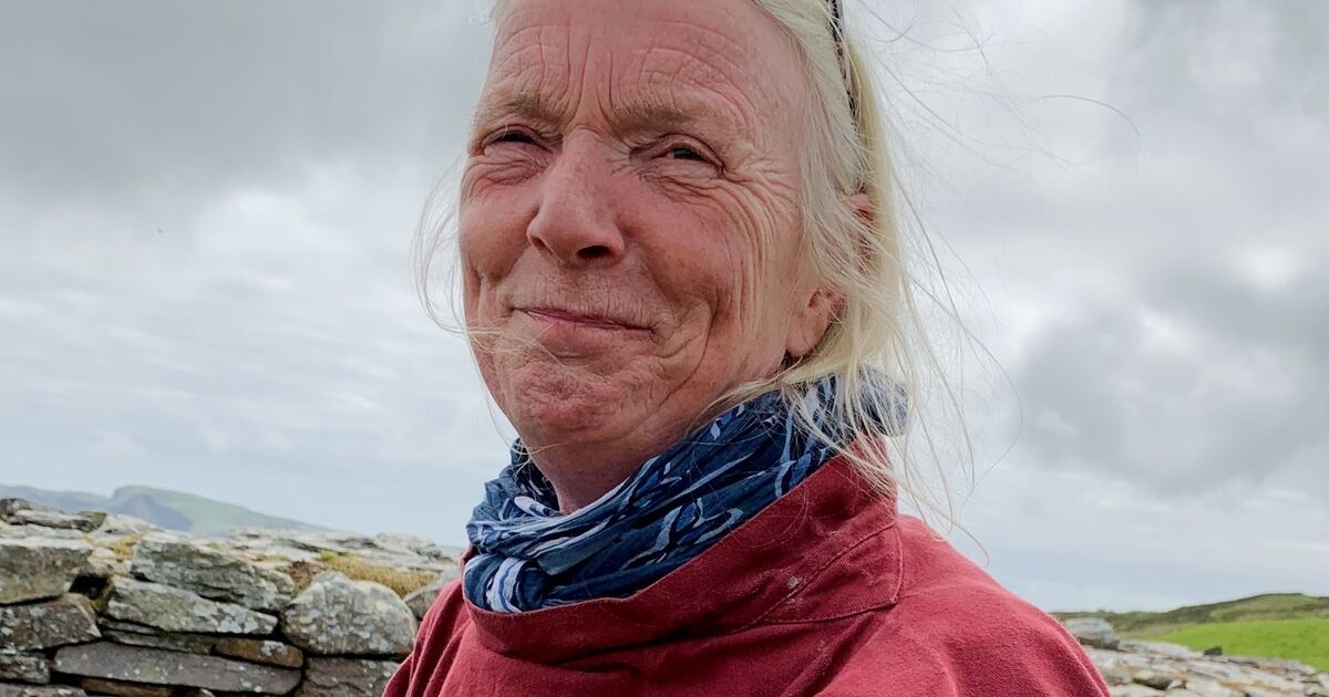 Sally Barnes: lessons from a trailblazer