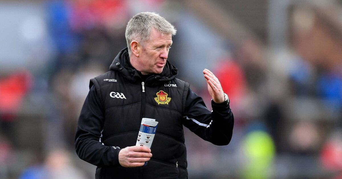Donal O'Mahony: Cork now putting solid building blocks in place