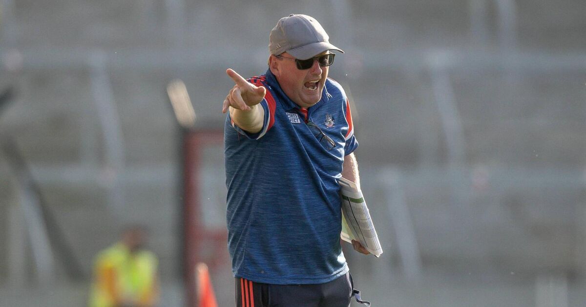 Keith Ricken: 'We look at people saying 'we hate Kerry' but you love ...