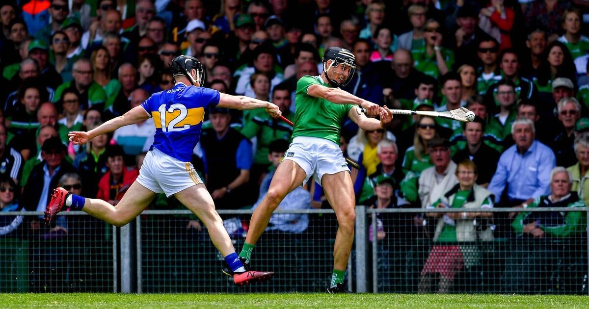 Anthony Daly: You just sense Limerick are ready for whatever Tipp bring