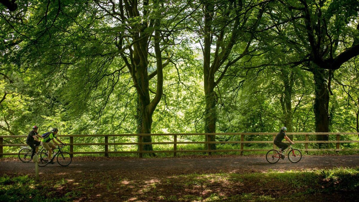 Nine of Ireland's best greenways to explore this summer