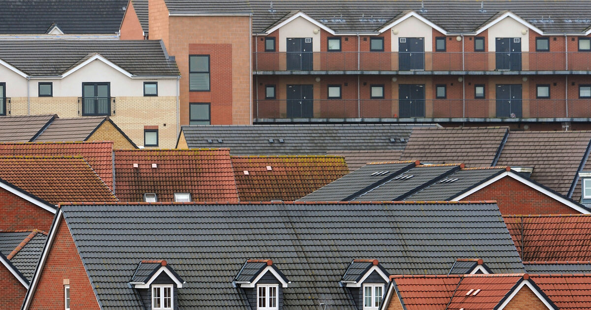 Student houses cold and mouldy, researchers find