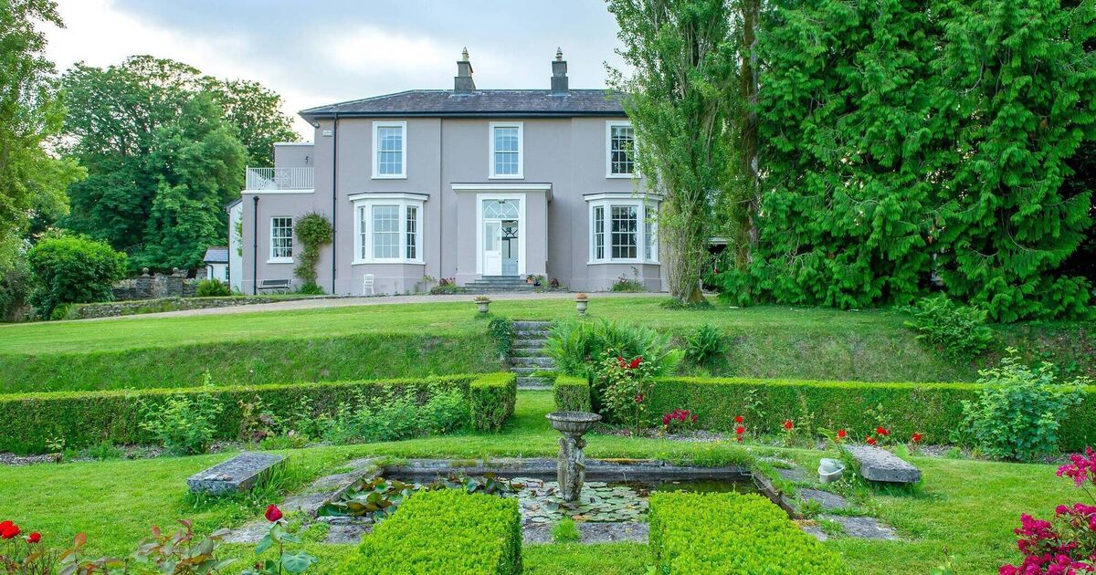 'Michael Flatley's Castlehyde mansion is a neighbour of this €1m River ...