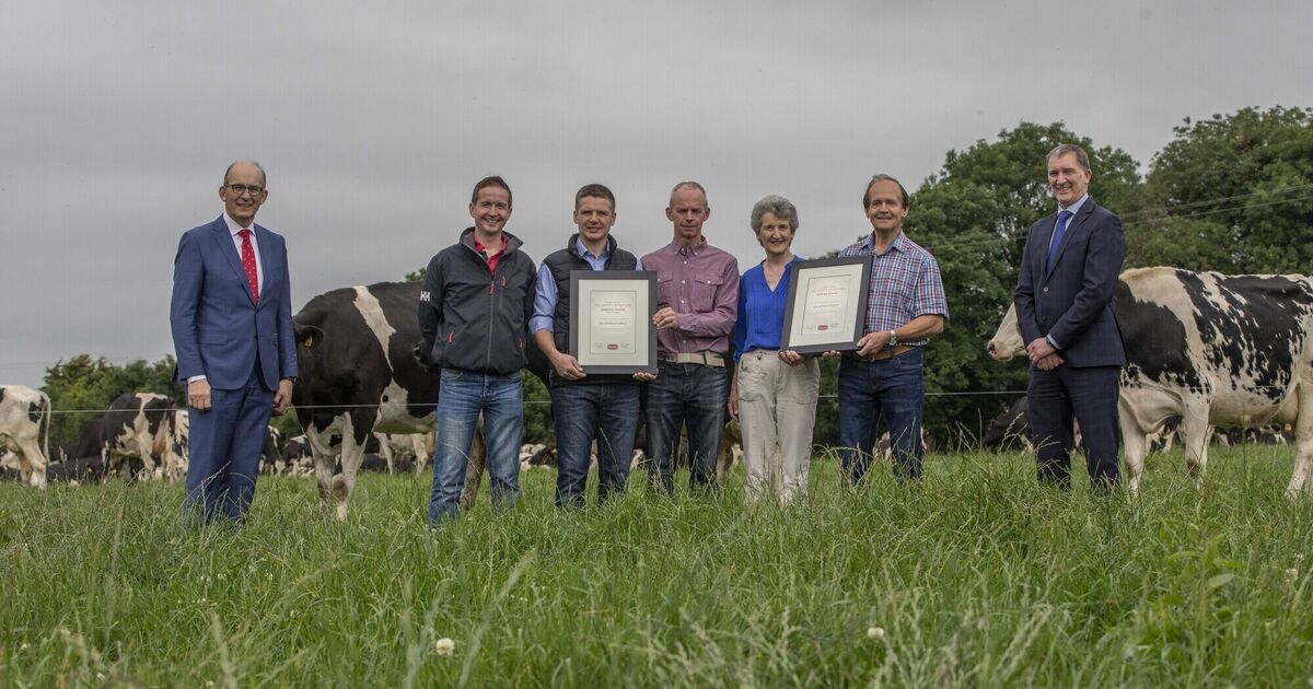 Dairygold 2020 Milk Quality Awards winners announced