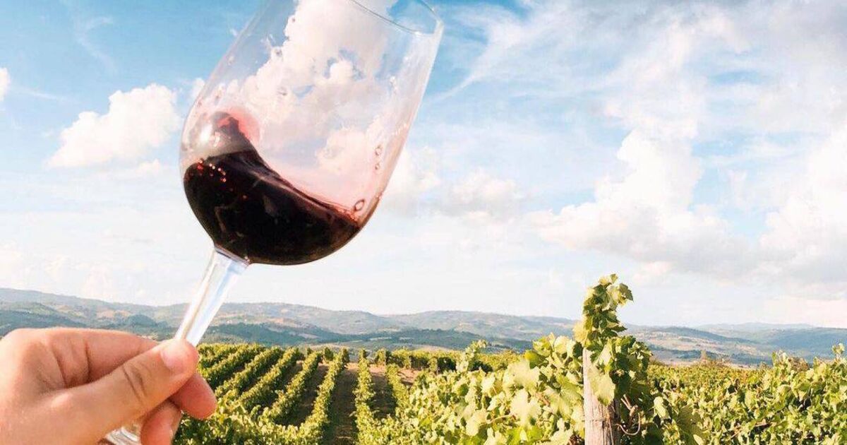 Wine with Leslie: Some wines that 'taste posh' — and are delicious as well