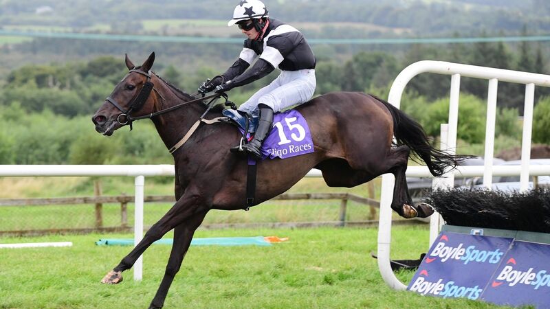 Sligo report: Kerry jockey Gavin Brouder registers 356/1 double
