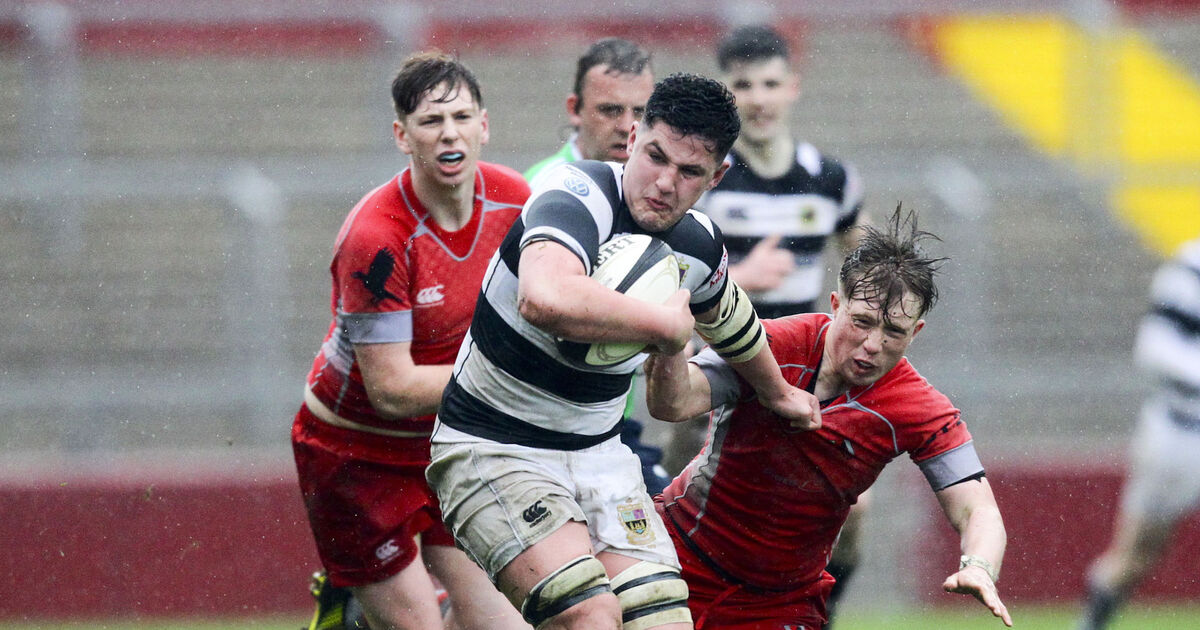 Ex-Ireland U20 international Billy Scannell leaves Biarritz