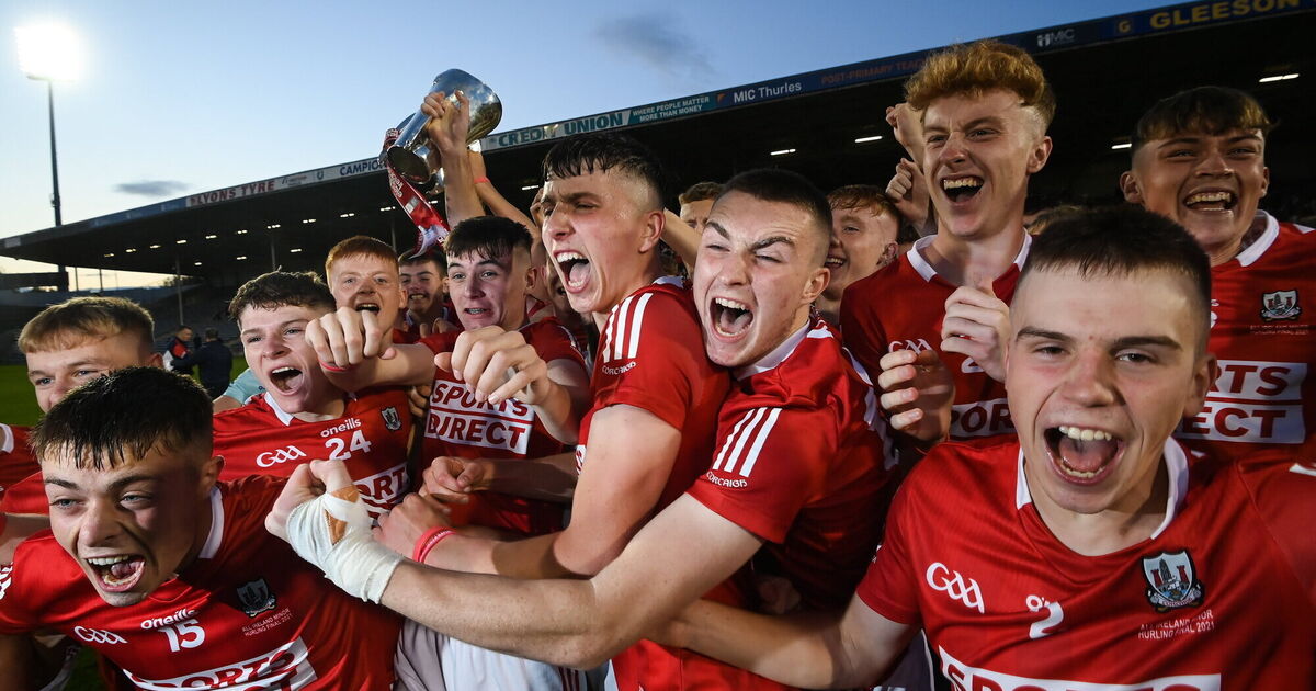 'Total performance': Cork manager Noel Furlong full of praise for ...