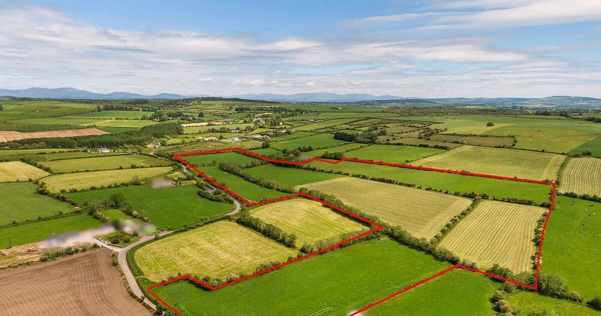 36-acre East Cork farm attracting both farmer and investor