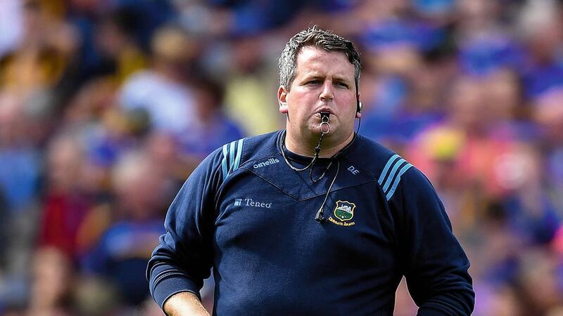 Darragh Egan to take over as Wexford hurling manager from Davy Fitzgerald