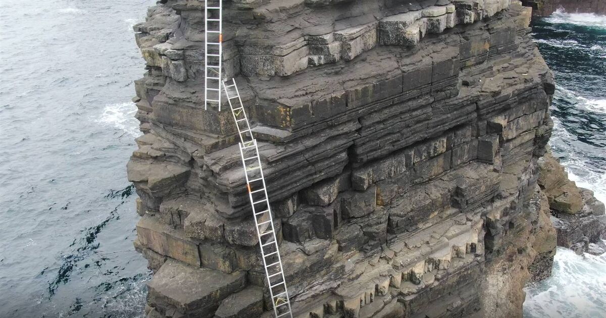 The ladders are scary enough — so who would take on this cliff jump ...