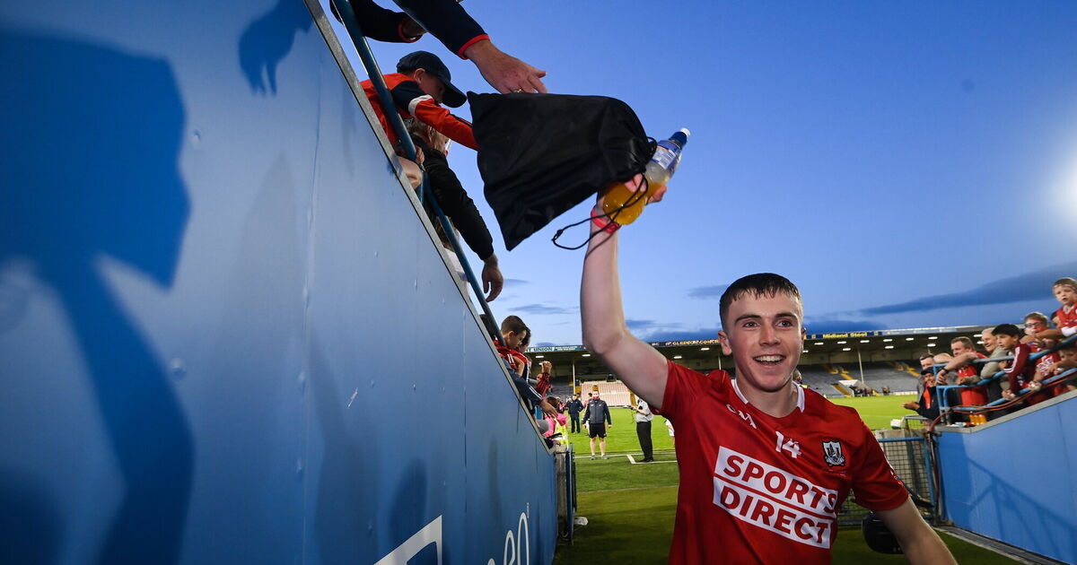 Jack Leahy gets top gong as Cork dominate minor hurling team of the year