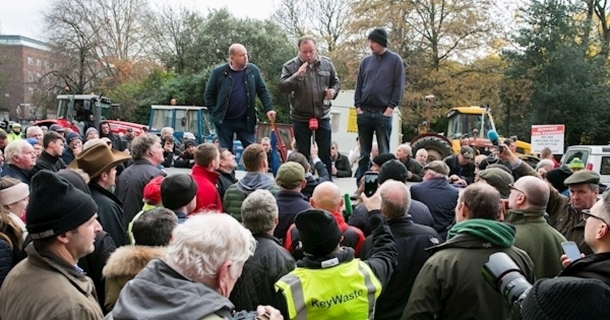 C&D Foods keep injunctions in place against two protestors connected to ...