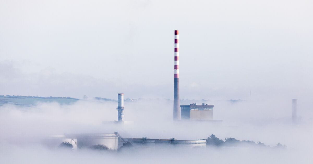 ESB group boosts profits as restrictions ease