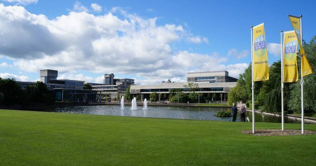 Two Irish universities feature in world's top 100 institutions for ...