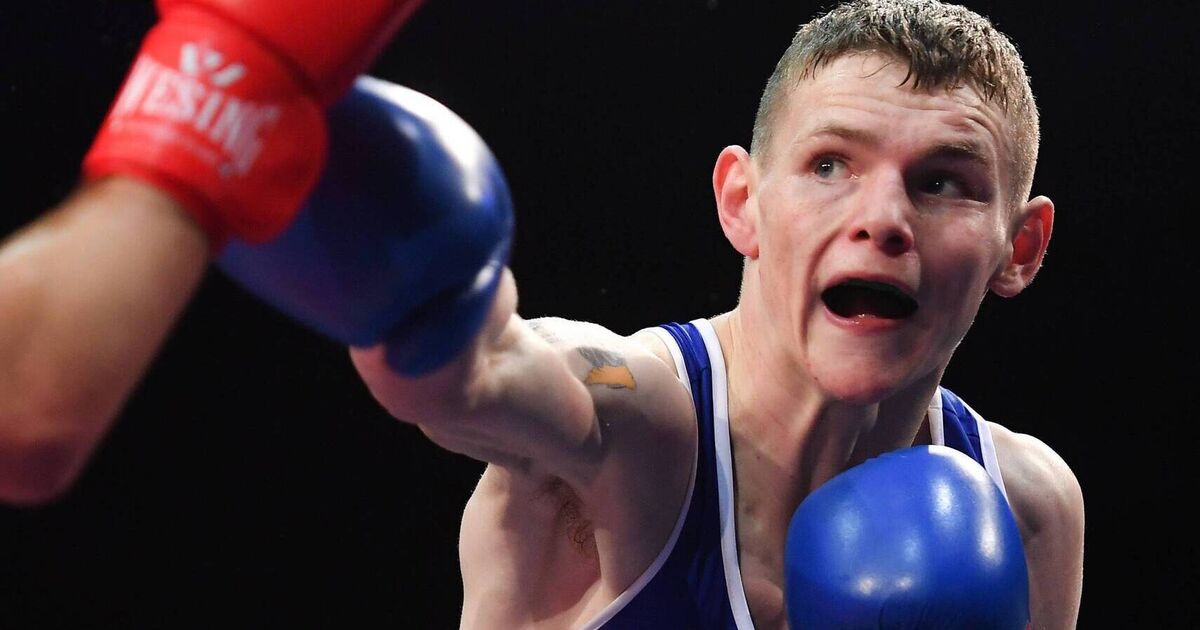 National Elite Boxing Championships: Brandon McCarthy marches into ...