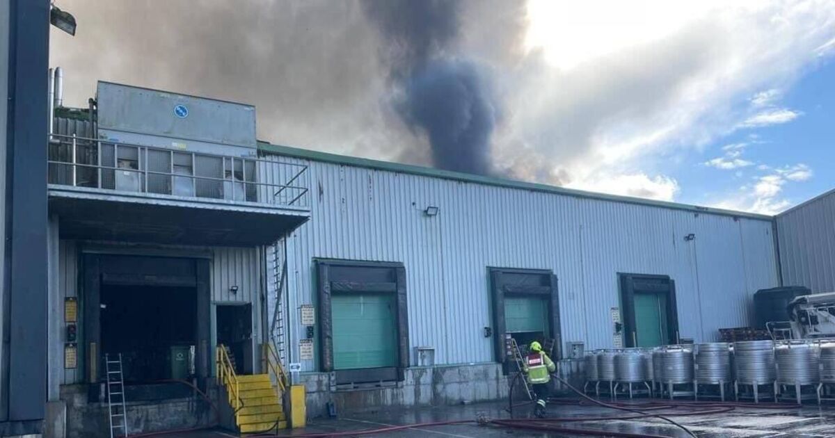 Glenisk factory fire a huge blow for the organic dairy sector