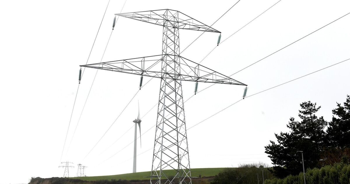 ESB to develop new battery units for power storage