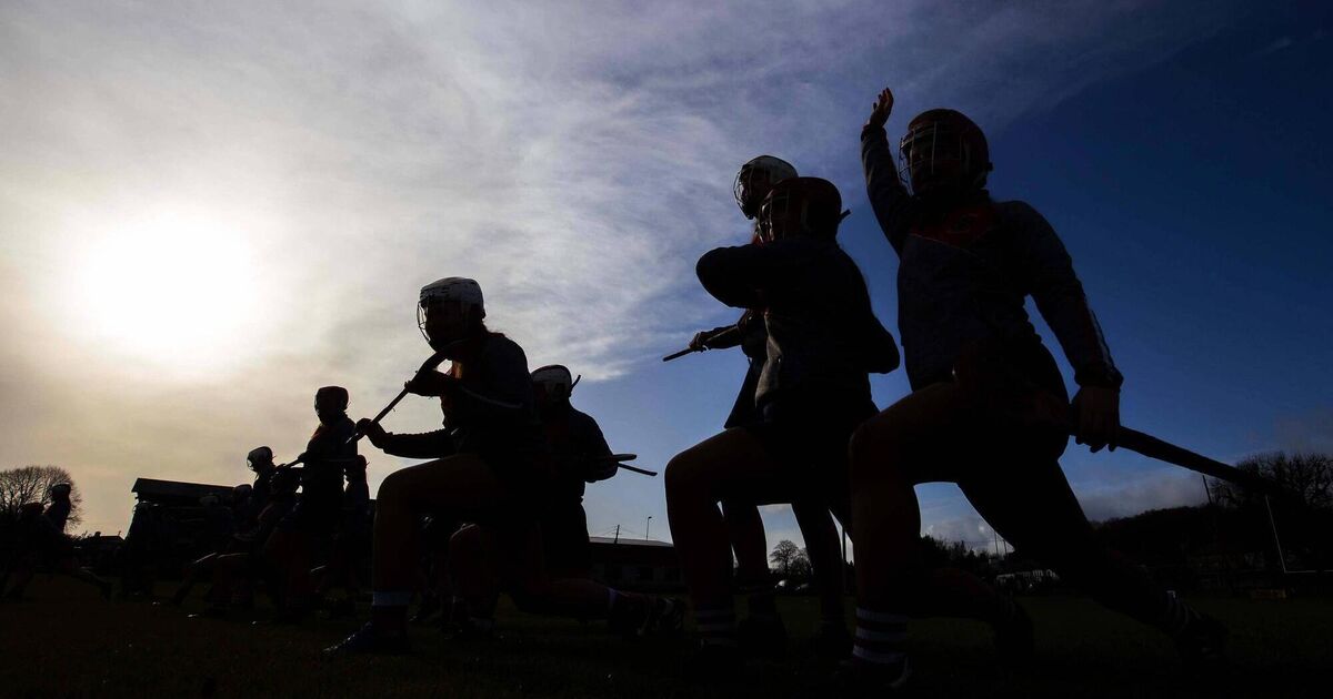 Cork camogie championship: Killeagh through as game cut short