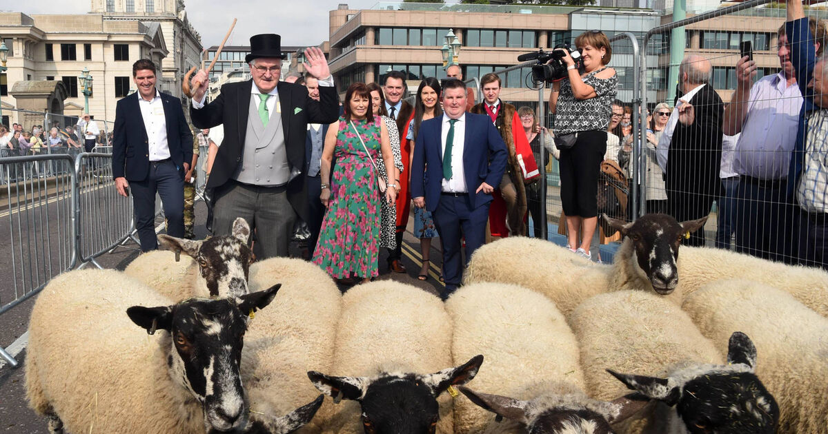 Gallery of selected images