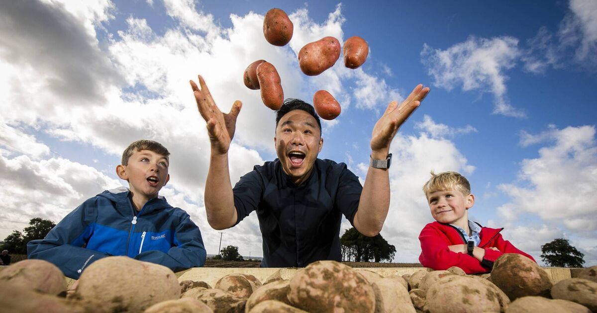 Celebrating the humble spud on National Potato Day