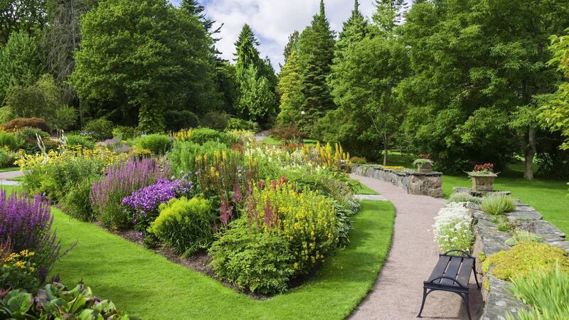 Peter Dowdall: October is the month for garden makeovers