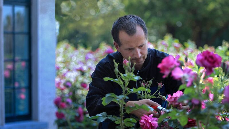 Peter Dowdall: A garden heaven in the Kingdom