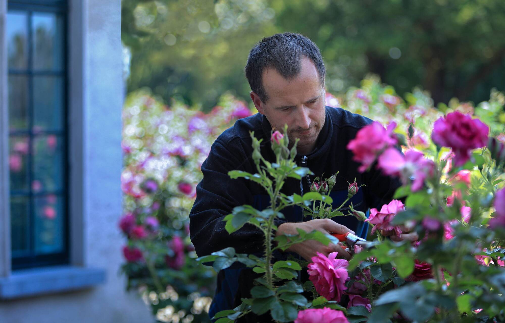 Peter Dowdall: A garden heaven in the Kingdom