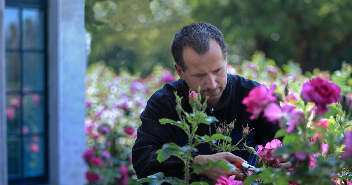 Peter Dowdall: A garden heaven in the Kingdom