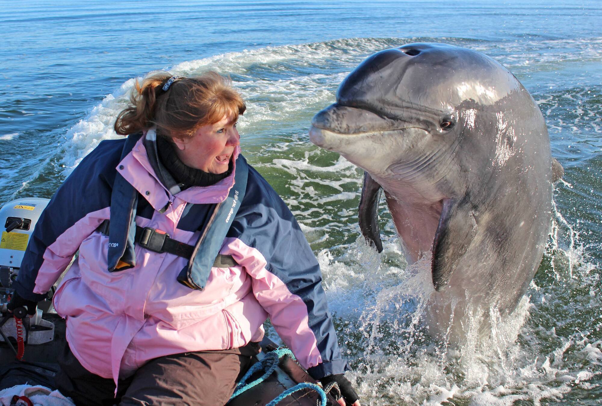 A year without Fungie: What life is like in Dingle since the famous ...