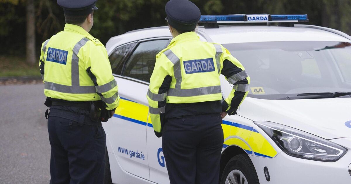 Alarm as garda numbers drop for five consecutive months