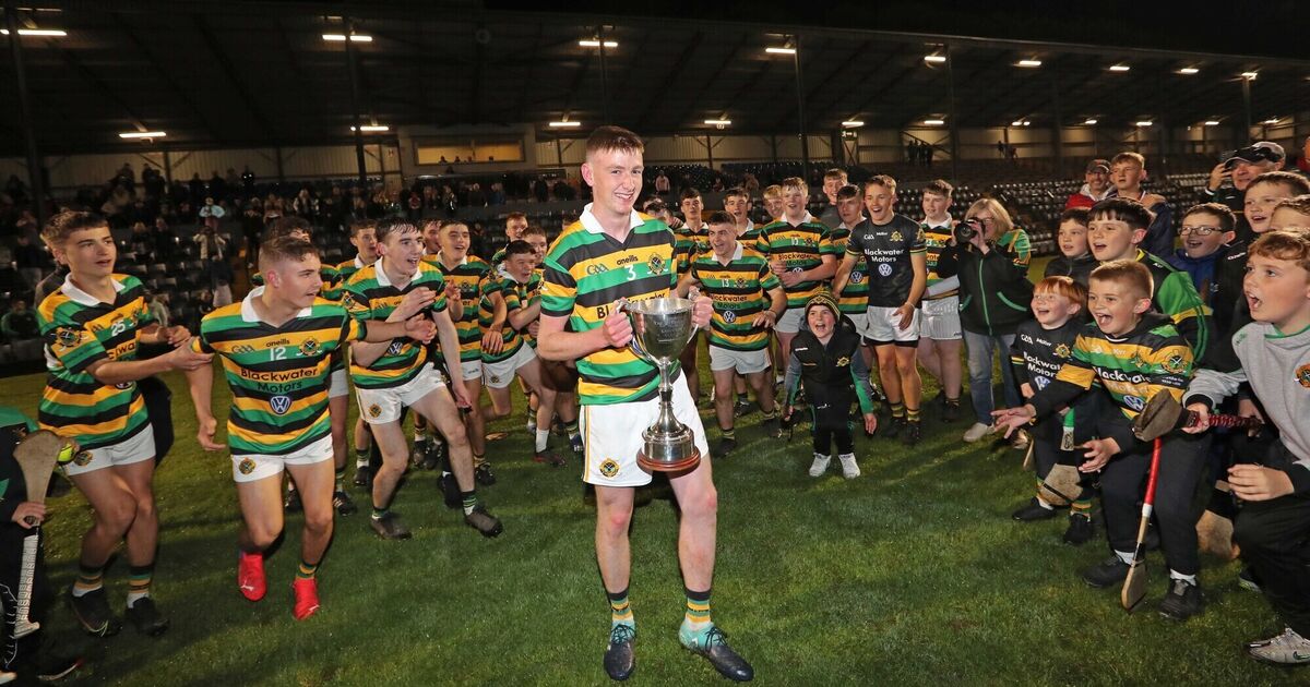 Stephen Lynam leads the way as Glen Rovers win minor hurling title