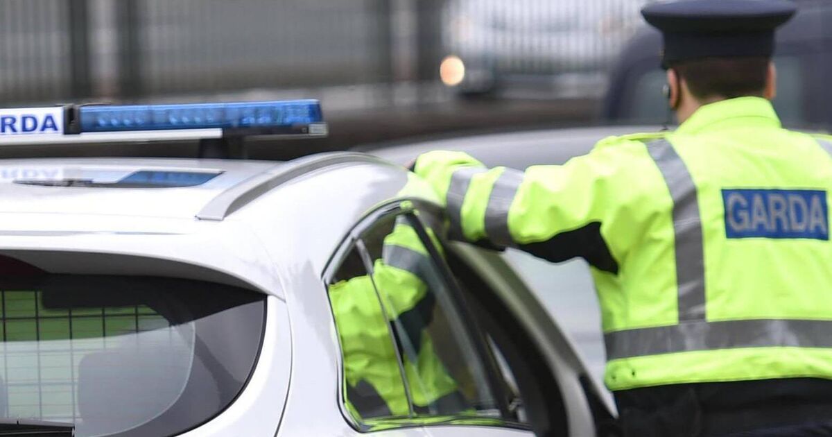 800 new gardaí and 400 civilian staff to be recruited next year