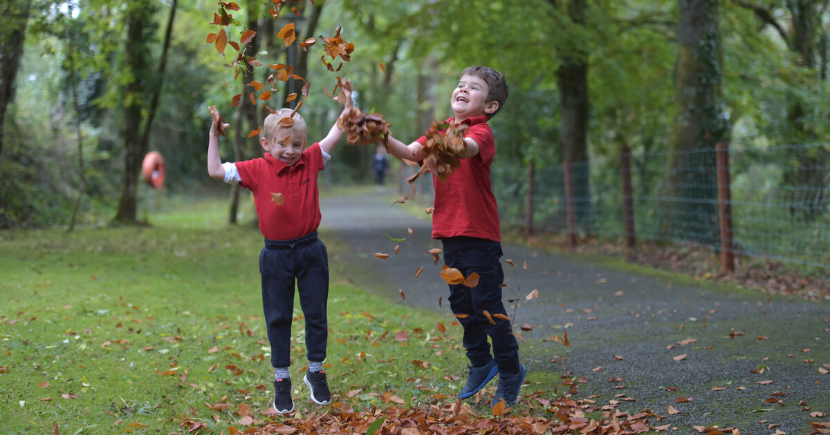 DLD Awareness Day aims to raise profile of language difficulty ...
