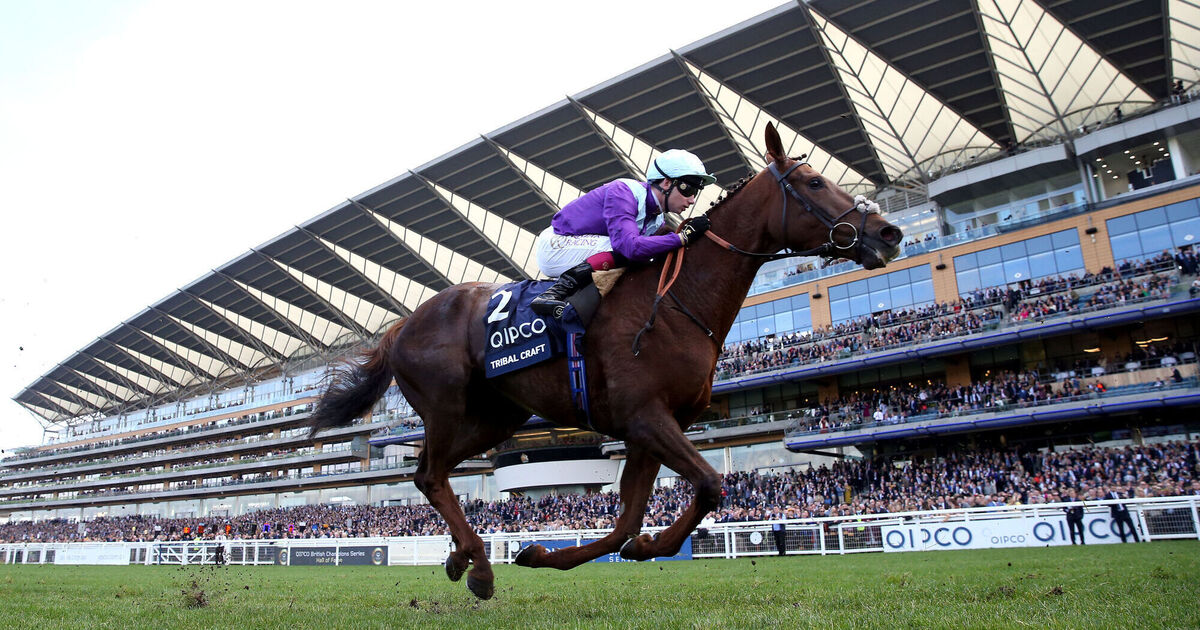 Oisín Murphy relieved to secure third British jockeys’ championship