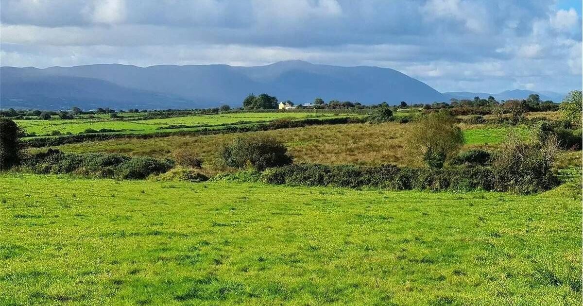 44-acre farm is a rare opportunity near Tralee