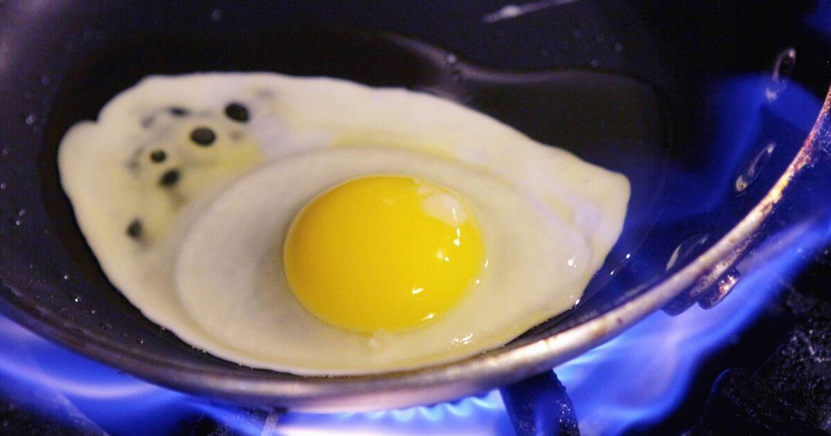 Fake eggs from mung beans get closer to reality in Europe
