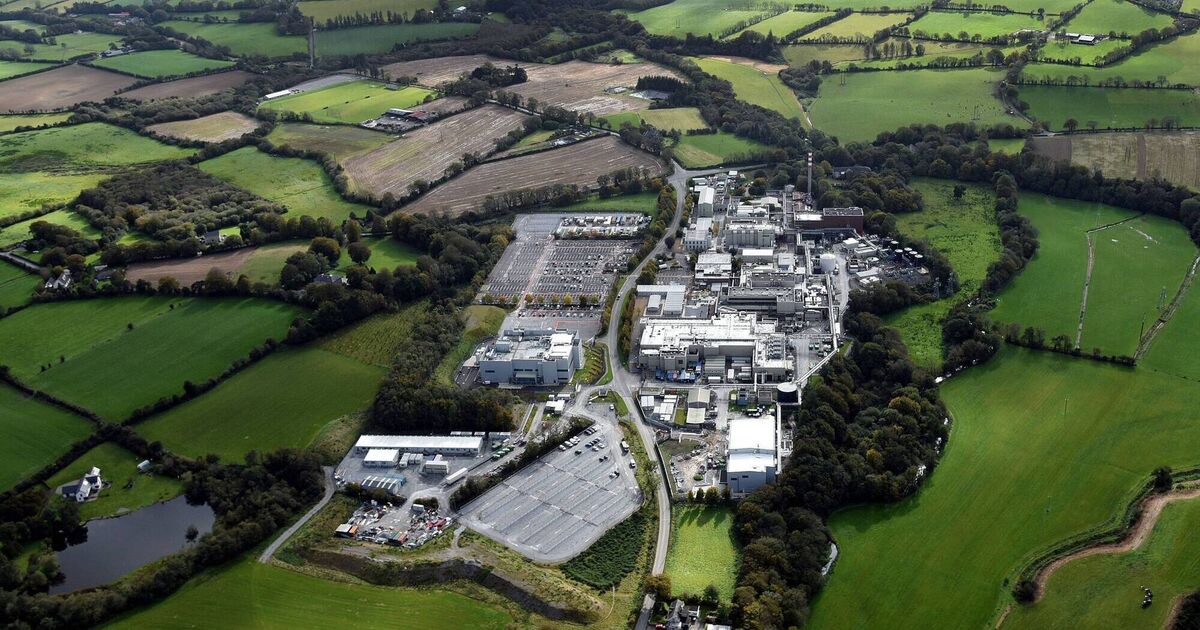 MSD-Merck secures British approval for its Covid antiviral pill