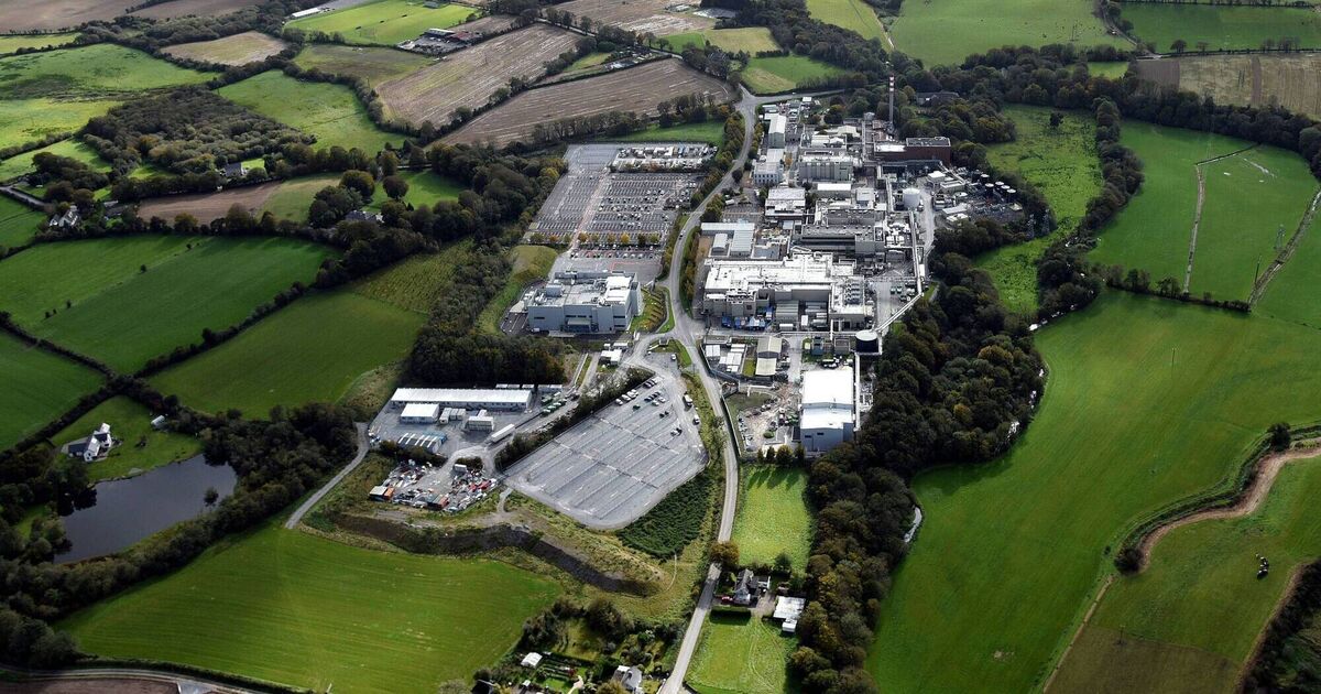 MSD looking at global manufacturing sites to make its Covid pill
