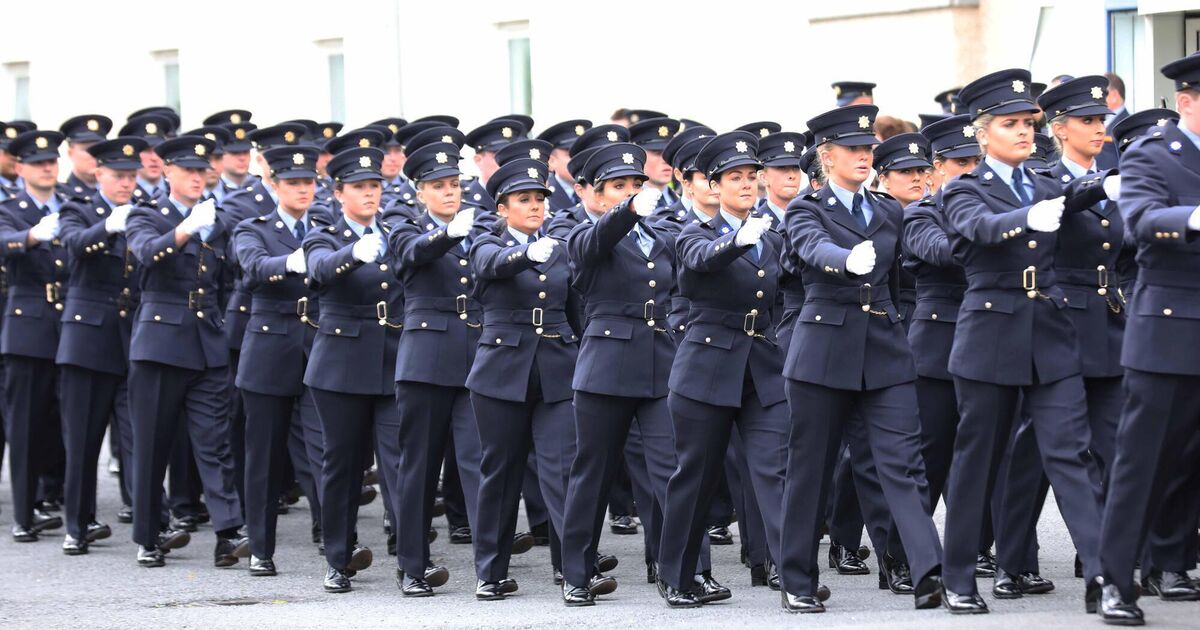 Number of female gardaí is only barely increasing despite recruitment ...