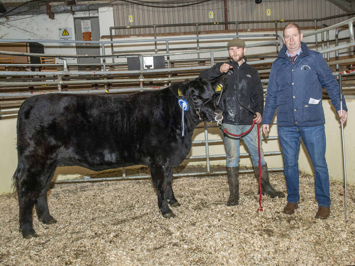 Mart Reports: As cattle numbers go down, prices go up