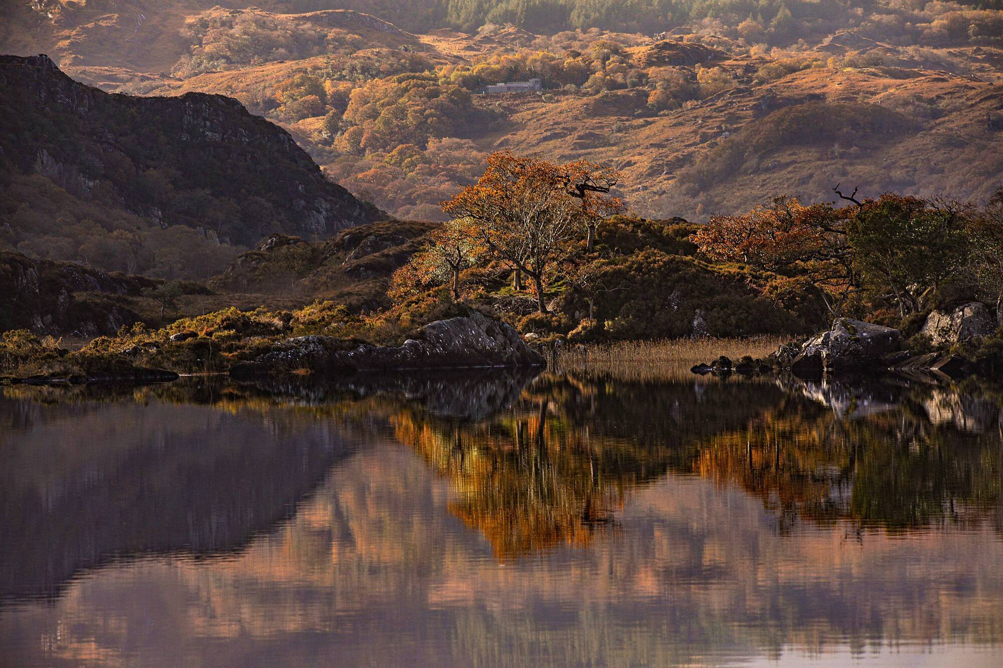 michael moloney killarney
