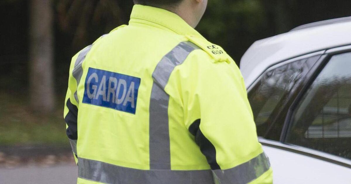 Gardaí appeal for witnesses following assault in Longford