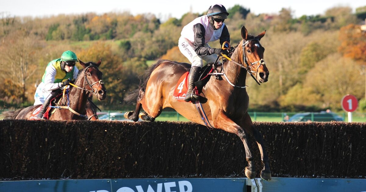 Magic Daze delivers spectacular performance for Henry de Bromhead at Cork