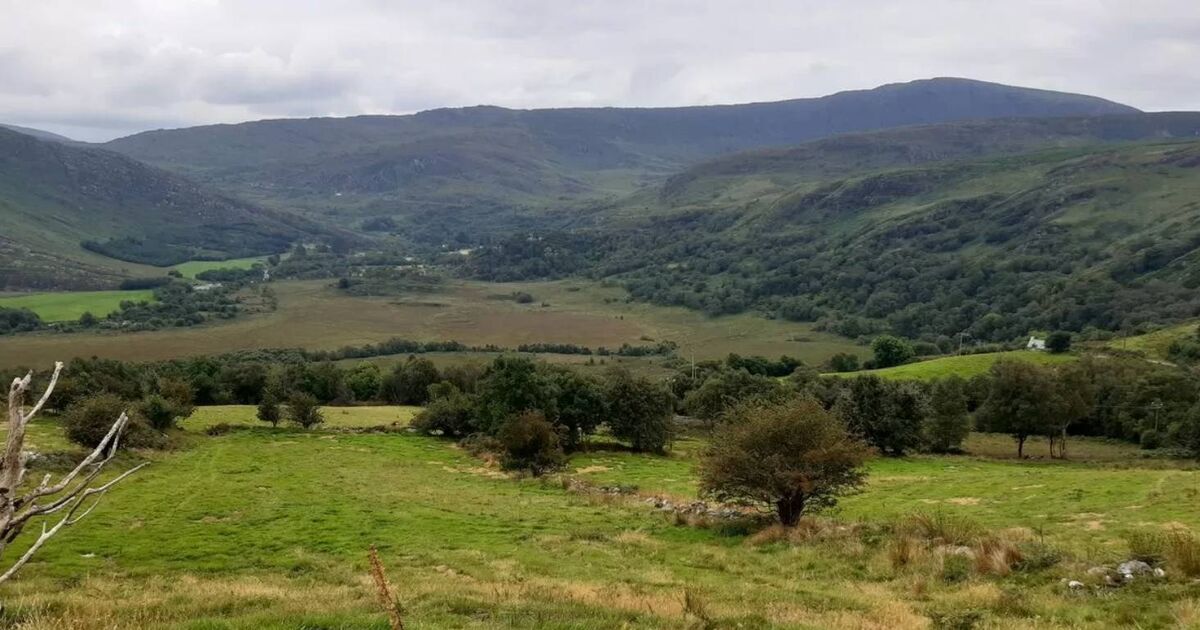 More than €300,000 sought for 117ac farm near Kilgarvan